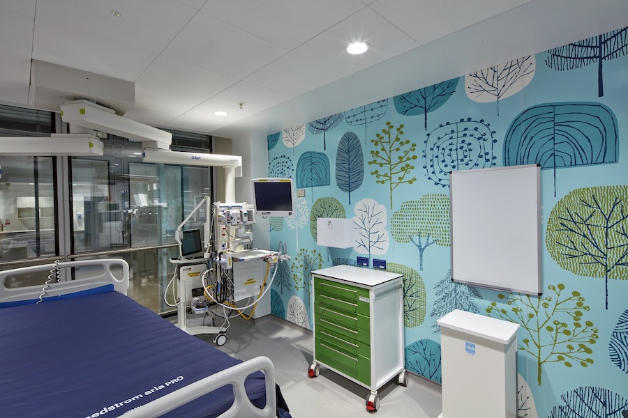 SALUS - Article - Insights from award-winning international health projects